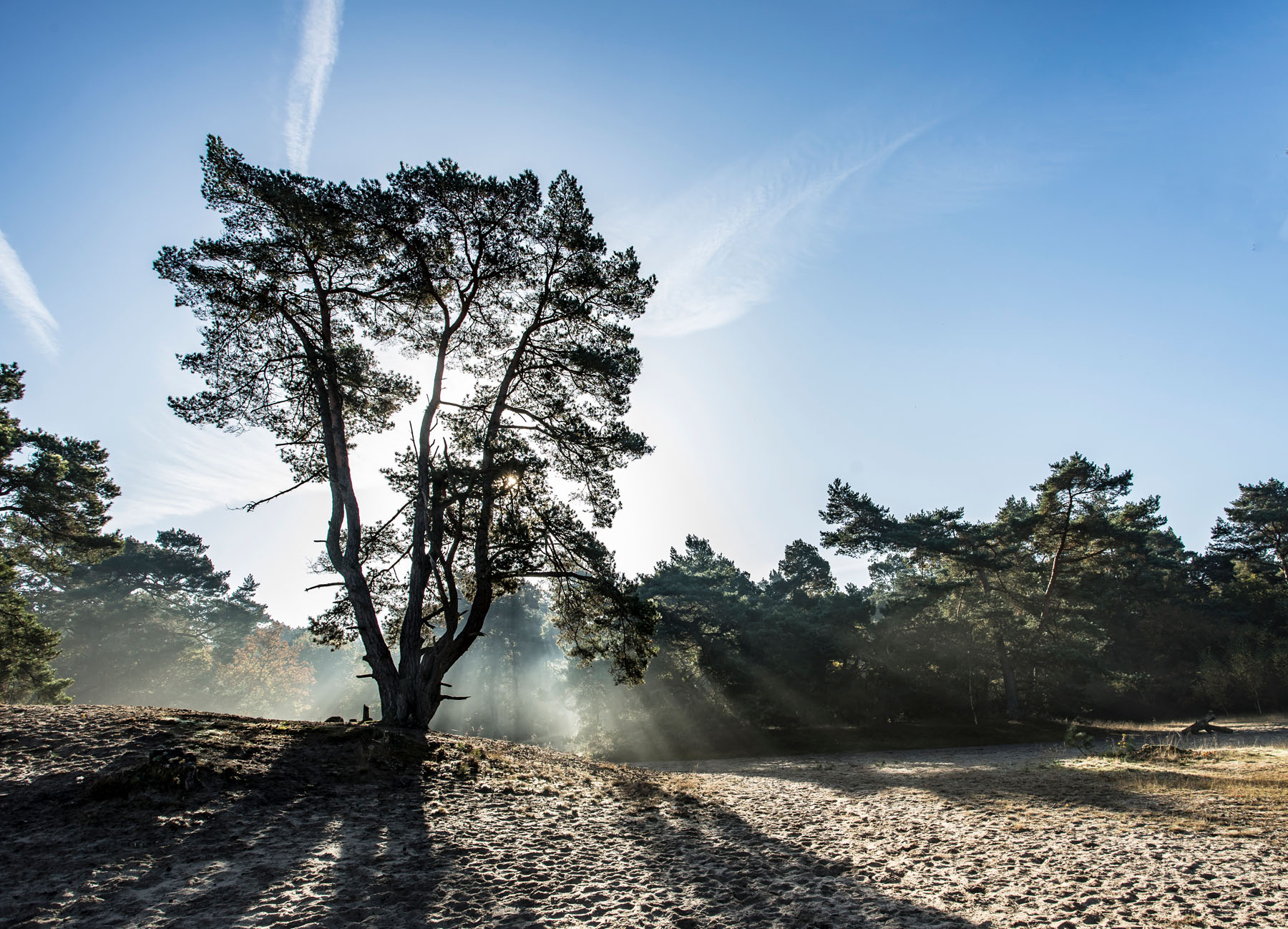 landschappen-nederland-landschapsfotografie-natuurfotografie-mooi ...